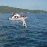 Whale Watching & Limón Waterfall Day Trip - Practical Tips for Travelers