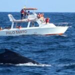 Whale Watching Tour in Samana - Who Should Consider This Tour?