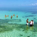 Whales Watching Half Day Experience - Final Thoughts