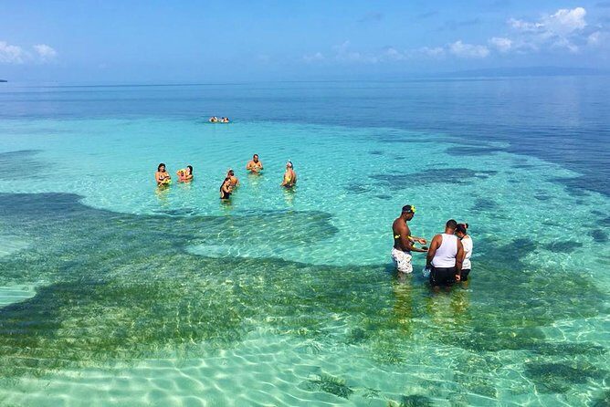 Whales Watching Half Day Experience - Final Thoughts