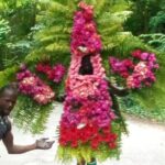 White River Tubing and OchoRios Highlight View Scenic Fern Gully - Fern Gully: Jamaica’s Living Rainforest