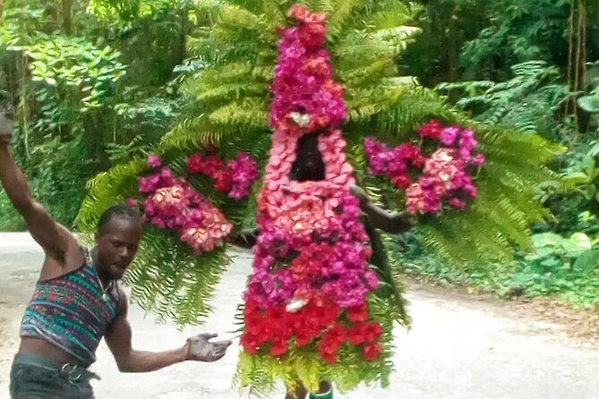 White River Tubing and OchoRios Highlight View Scenic Fern Gully - Fern Gully: Jamaica’s Living Rainforest