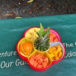 Wild & Scenic Rainforest Nature Walk (Day Time River & Swim) - What the Reviews Say