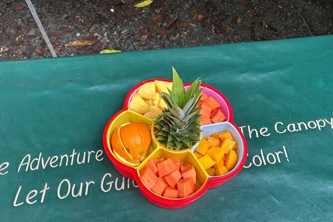 Wild & Scenic Rainforest Nature Walk (Day Time River & Swim) - What the Reviews Say