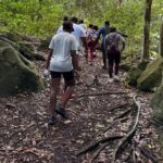 Wingfield Rain Forest Nature Trail Adventure - How It Compares to Other Tours