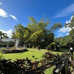 Wingfield Rainforest Hike St Kitts and Romney Manor Adventure - Who Will Love This Tour?