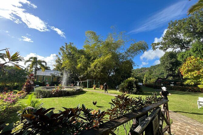 Wingfield Rainforest Hike St Kitts and Romney Manor Adventure - Who Will Love This Tour?