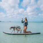 Wingfoiling Lessons in Aruba with IWO Certification - Who Should Consider This Tour?