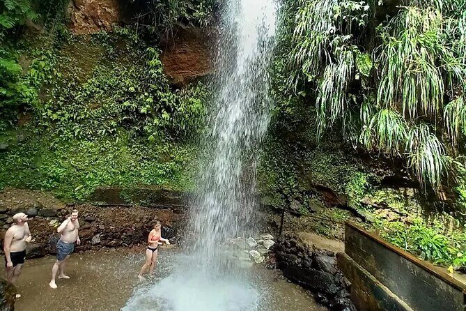 Wow Tours St. Lucia (COVID-19 Certified) - Transportation and Group Size