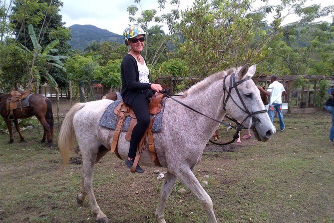 XDream Adventure: Damajagua Waterfalls, ATV, Zip Lines, Horseback Riding & Pool - Authentic Experiences and Authentic Reviews