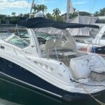 Yacht Charter/Excursion Party Boat with Open Bar in Punta Cana - Final Thoughts