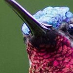 Yerette Home of the Hummingbird - The Itinerary in Detail