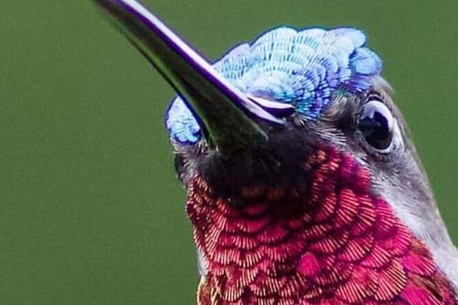 Yerette Home of the Hummingbird - The Itinerary in Detail