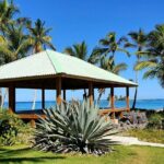 Yoga Session at Villa Serena, Las Galeras - Practical Details and Pricing
