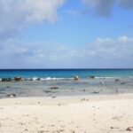 Your Guide Private Tour (North and South) Customize - What People Are Saying