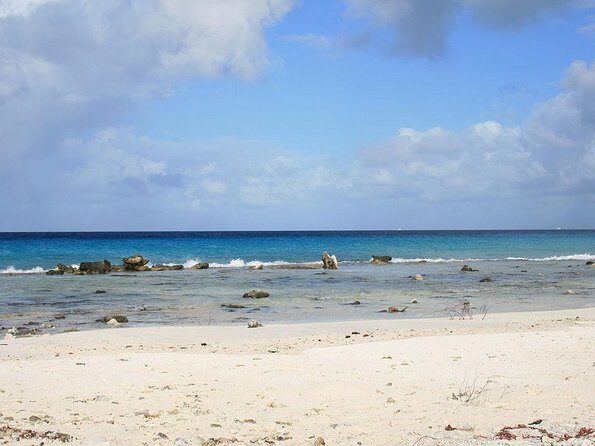 Your Guide Private Tour (North and South) Customize - What People Are Saying