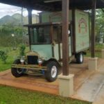 YS Falls and Appleton Estate Private Rum Tour - Authentic Experiences and Honest Insights