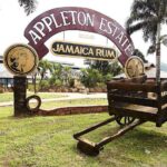 YS Falls and Appleton Rum Tour Adventure Tour from Montego Bay - FAQ