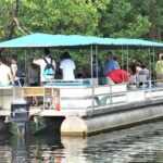 YS Falls and Black River Safari Guided Tour from Montego Bay and Grand Palladium - Practical Details and Tips