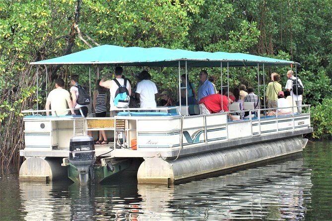 YS Falls and Black River Safari Guided Tour from Montego Bay and Grand Palladium - Practical Details and Tips