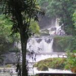 YS Falls and Sightseeing Tour Day Adventure - Frequently Asked Questions