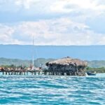 YS Falls and The Pelican Bar Adventure Tour from Montego Bay - Who Should Consider This Tour