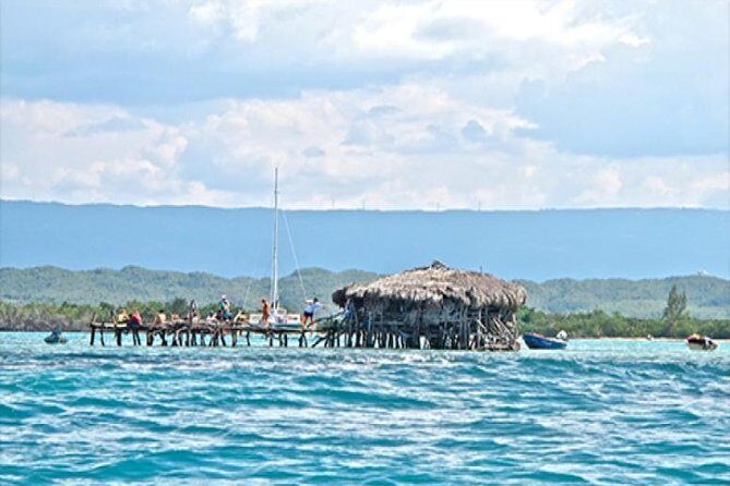 YS Falls and The Pelican Bar Adventure Tour from Montego Bay - Who Should Consider This Tour