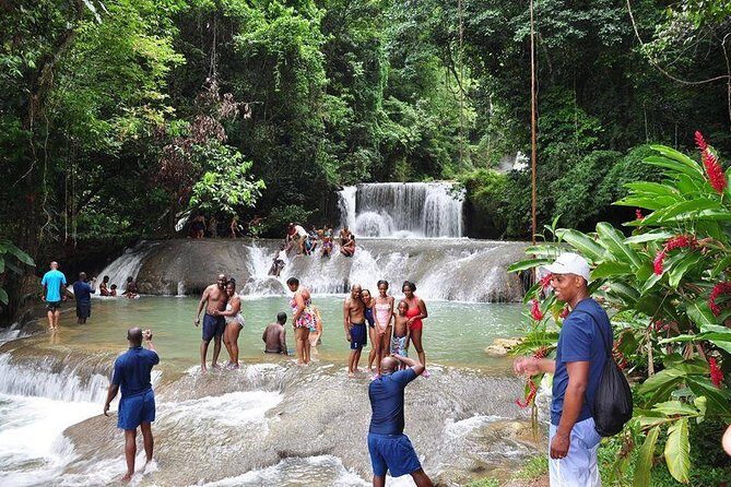 YS Falls and The Pelican Bar Adventure Tour from Negril - The Practicalities: What You Need to Know