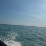 YS Falls and Zipline with Floyds Pelican Bar Full Day Tour - What Reviewers Say