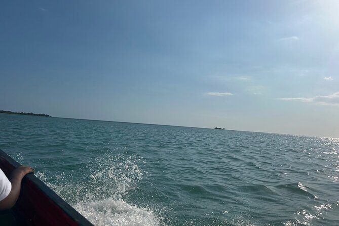 YS Falls and Zipline with Floyds Pelican Bar Full Day Tour - What Reviewers Say