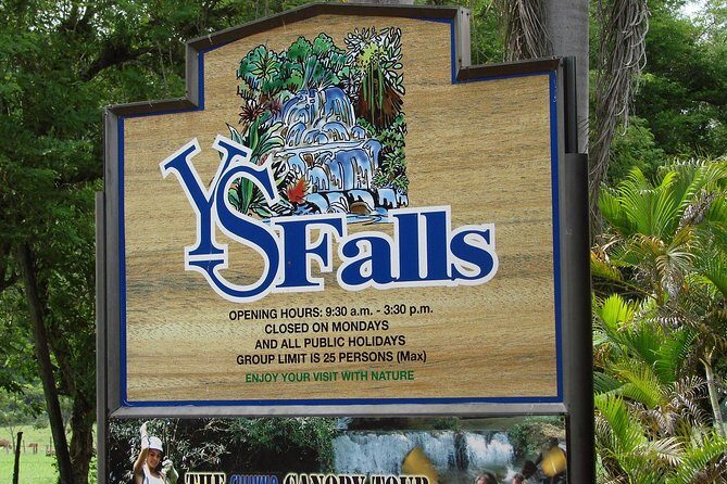 YS Falls, Black River Safari, and Floyd's Pelican Bar Day-Trip (Transportation) - Who This Tour Is Perfect For