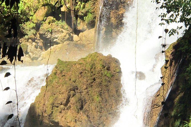 Ys Falls, Floyds Pelican Bar, Black River Safari - Real Traveler Insights