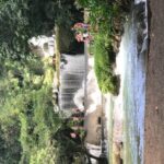 YS Falls Private Full-Day Adventure Tour with Pickup - What About Cost and Value?