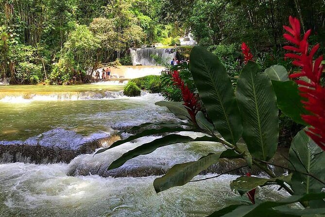 Ys Falls Private Tour - Why the Private Transportation Matters