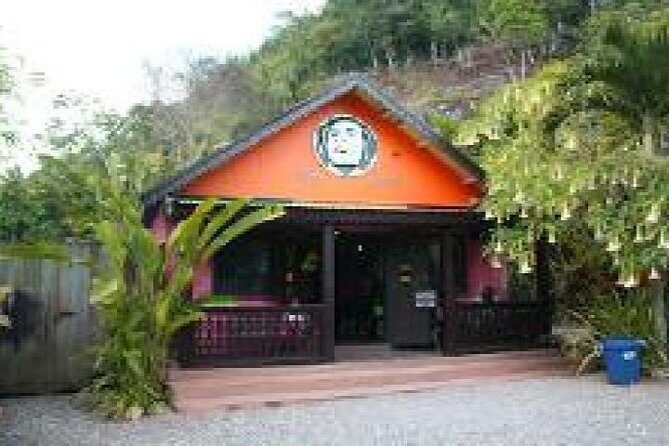 Zion Bus Line- Bob Marley Cultural Experience from Ocho Rios - Why This Tour Offers Good Value