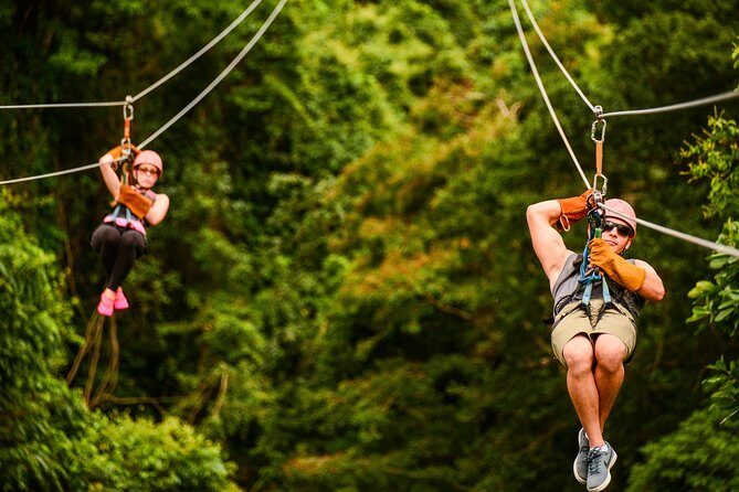 Zip Line Adventure from Punta Cana (Half Day) - Who Will Love This Tour?