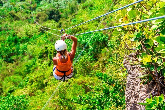 Zip Line Mountain Ride - Whats Included and What to Consider
