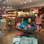 Zip Line or Zip Line Canopy Adventure in Punta Cana - An In-Depth Look at the Zip Line Canopy Tour