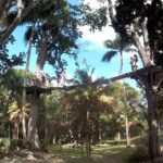 Zip Line over the Dunns River Falls - The Itinerary: What to Expect from Start to Finish