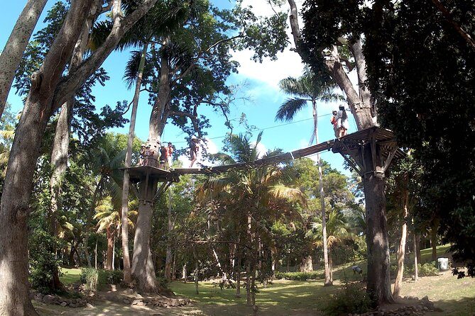 Zip Line over the Dunns River Falls - The Itinerary: What to Expect from Start to Finish