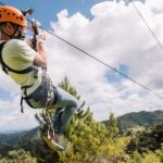 Zipline Adventure Tour - An In-Depth Look at What to Expect