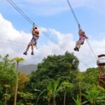 Zipline Canopy Tour with Transport from San Juan - The Practical Side — What’s Included and What to Know