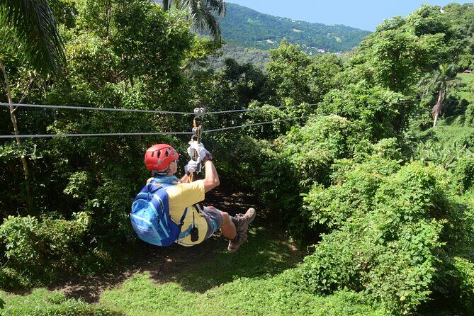 Ziplining at the Rainforest in Puerto Rico - The Itinerary Breakdown