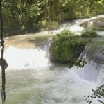 Ziplining in YS Falls and Black River Safari Private Tour - Exploring Jamaica’s South Coast: A Closer Look at the Tour