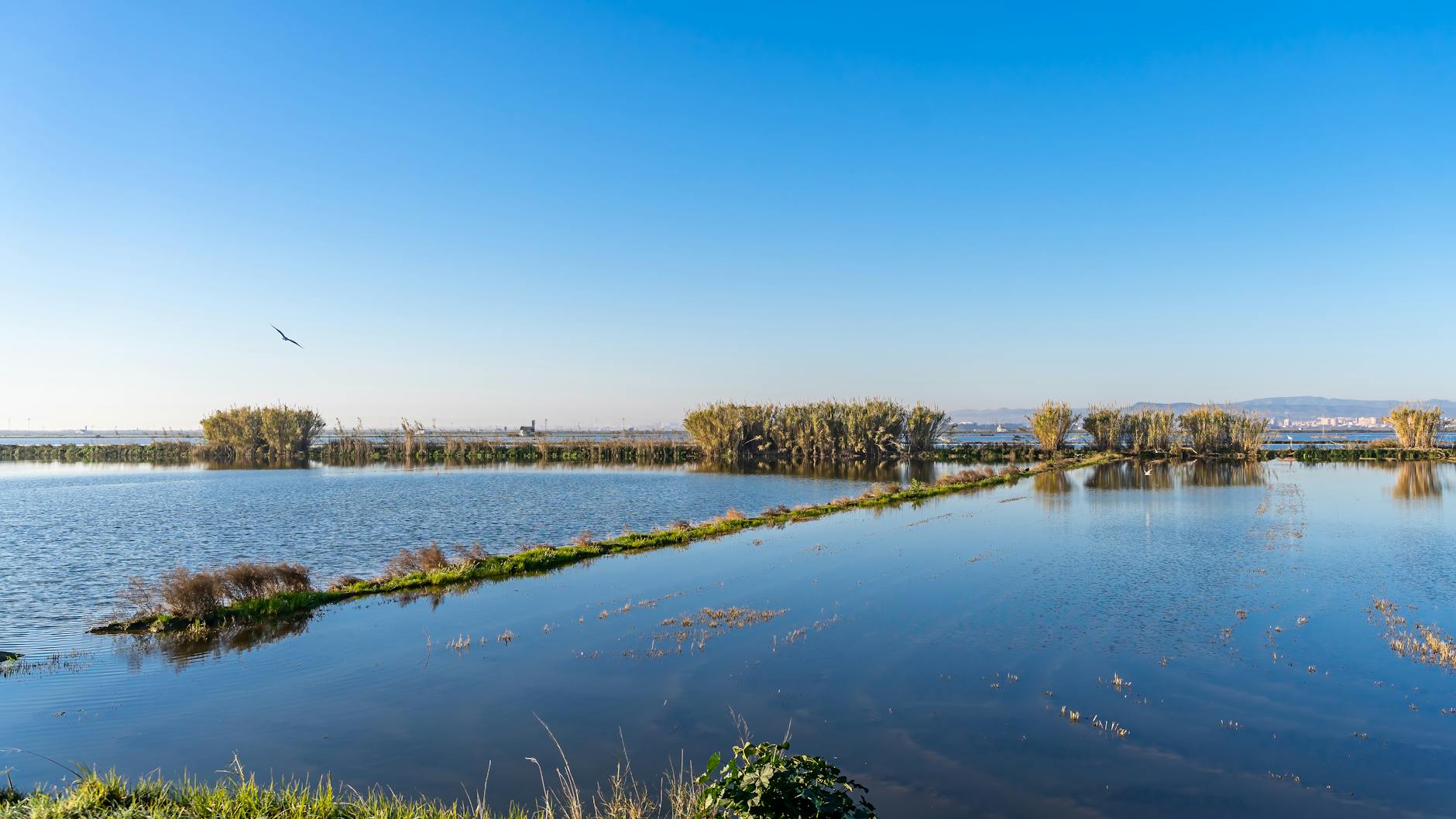 Golden sunset over Albufera Natural Park lagoon near Valencia Spain