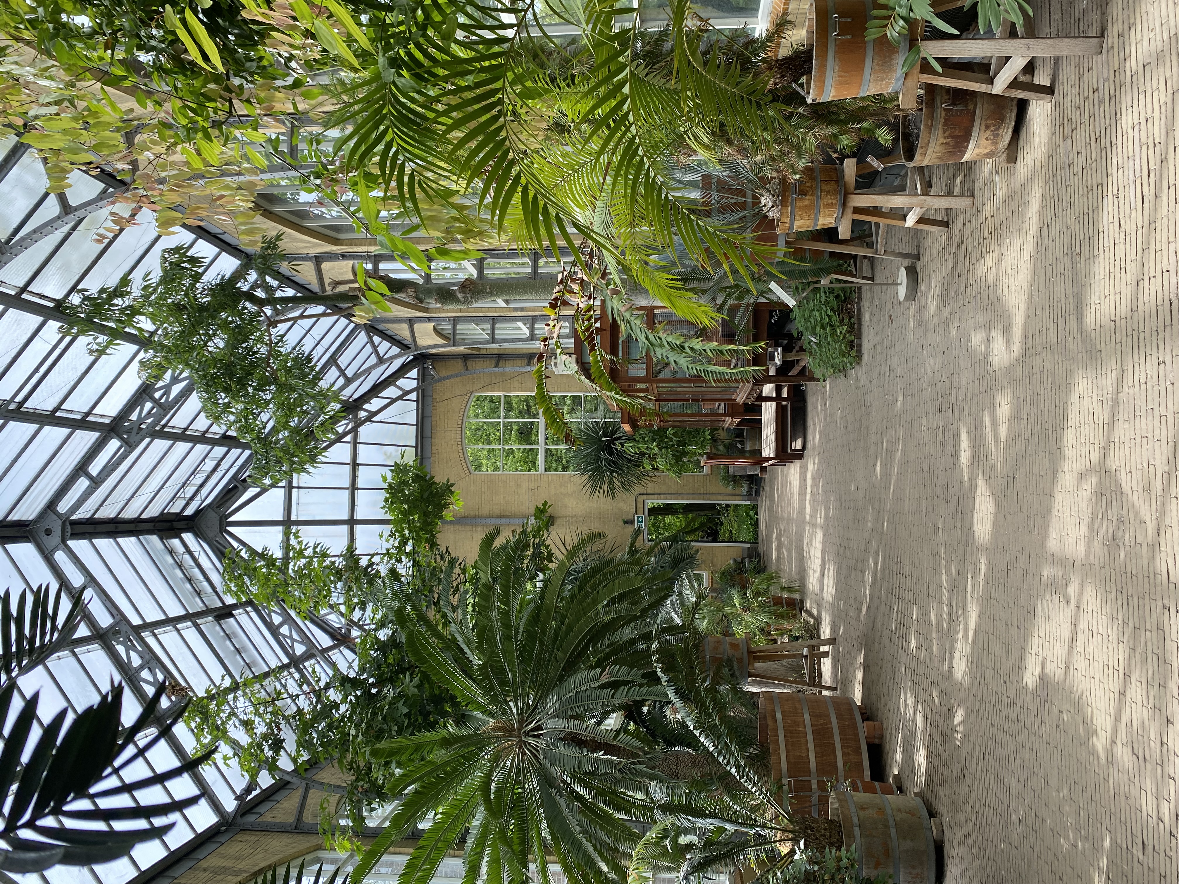 Hortus Botanicus greenhouse in Amsterdam