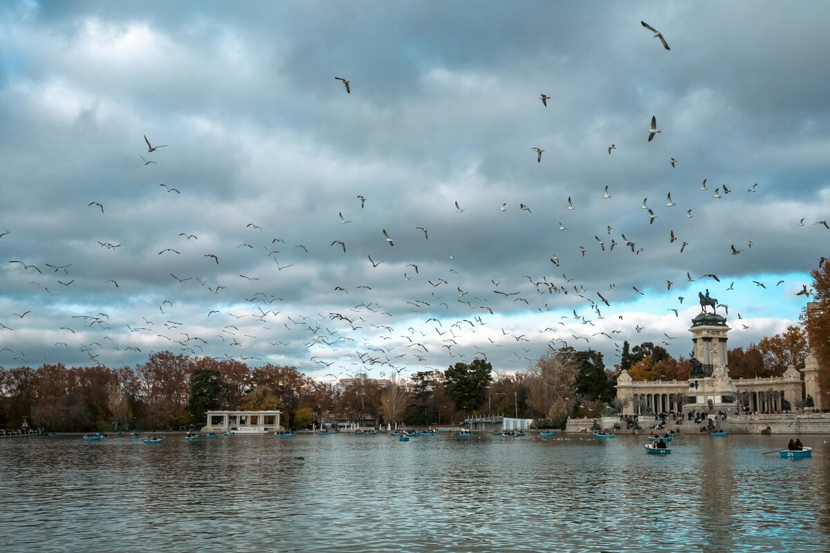 El Retiro Park in Madrid with lake and trees
