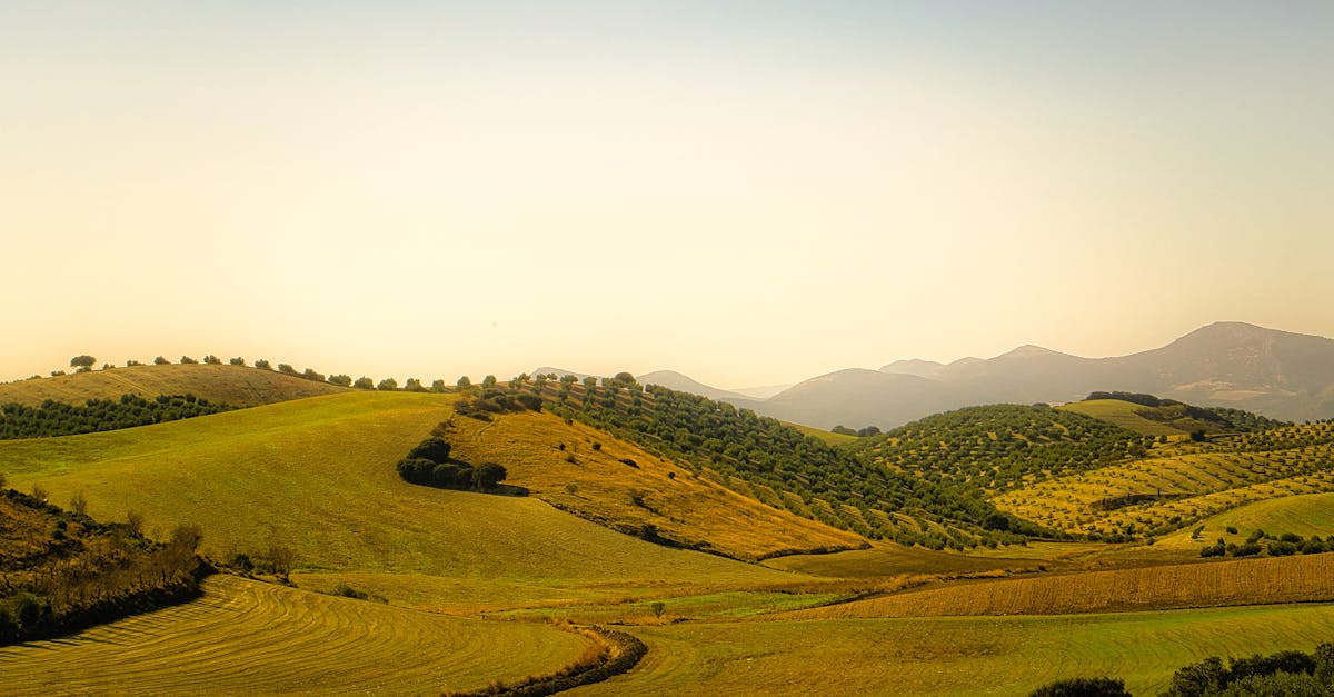 Green rolling countryside in rural Spain