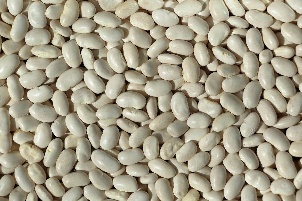 Fabada asturiana bean stew with chorizo