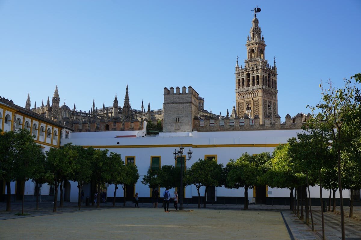 The Giralda Tower rising above Seville Cathedral with trees in the foreground